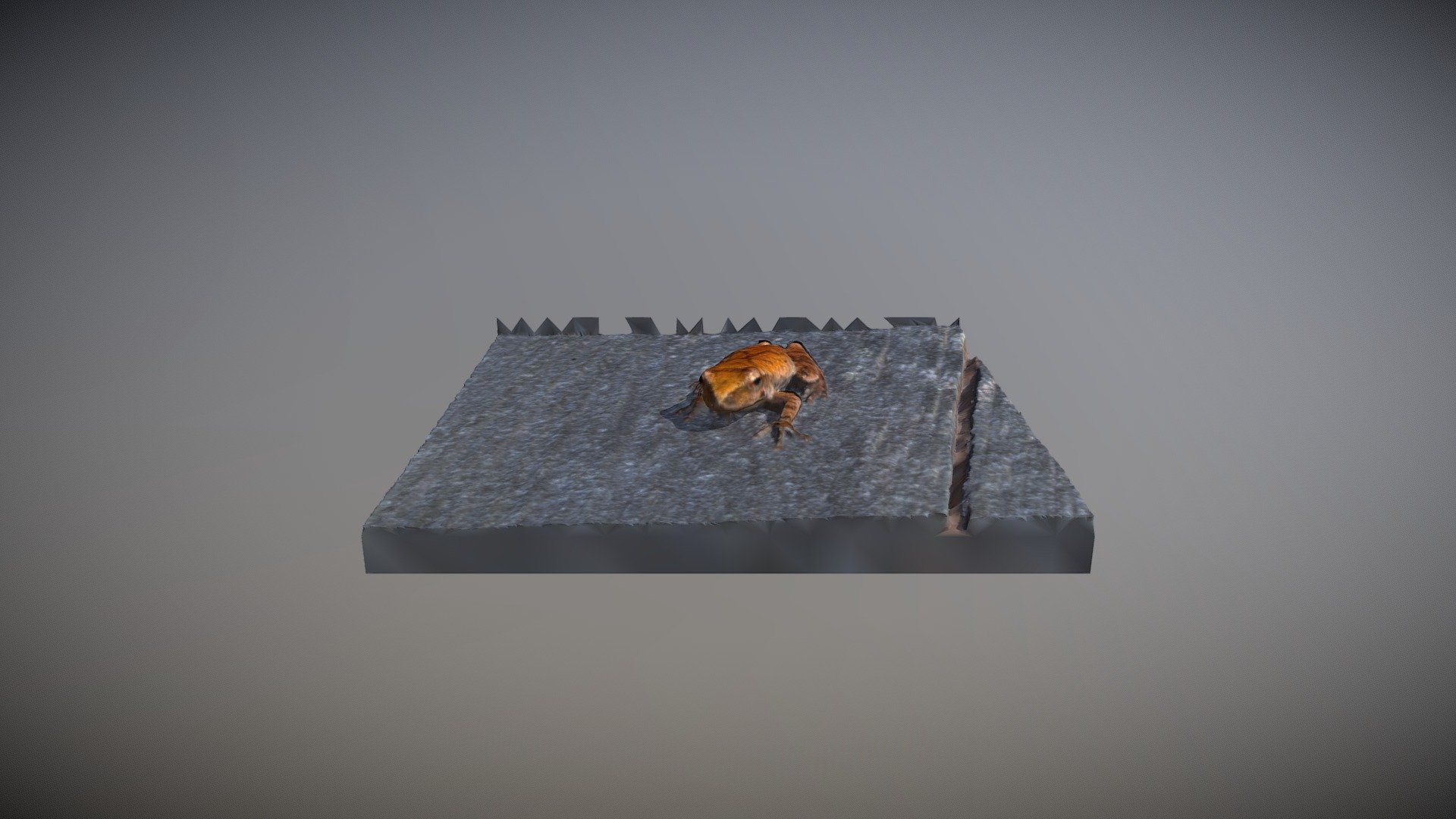 Spring Peeper - 3D model by Therefore (@jemynttinen) [9eefc68] - Sketchfab
