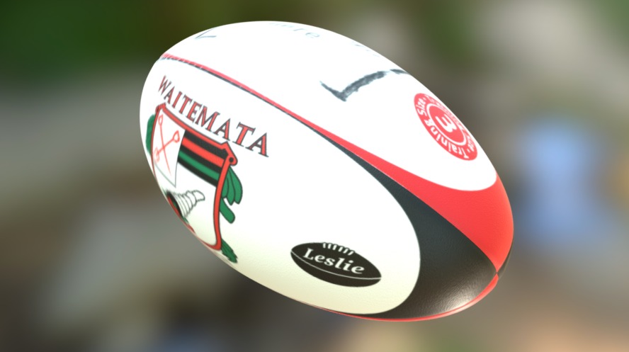 Waitemata Rugby Club - 3D model by LeslieRugby (@connormcgregor ...