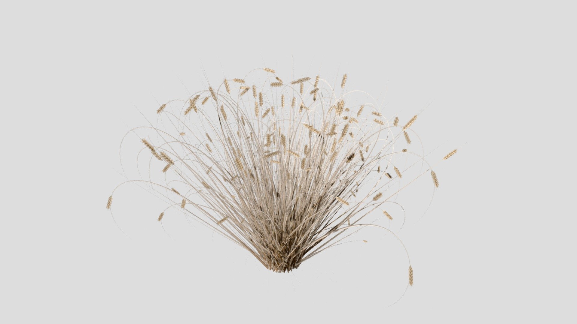 Desert Grass - Buy Royalty Free 3D model by WireframeArt [9effba8 ...