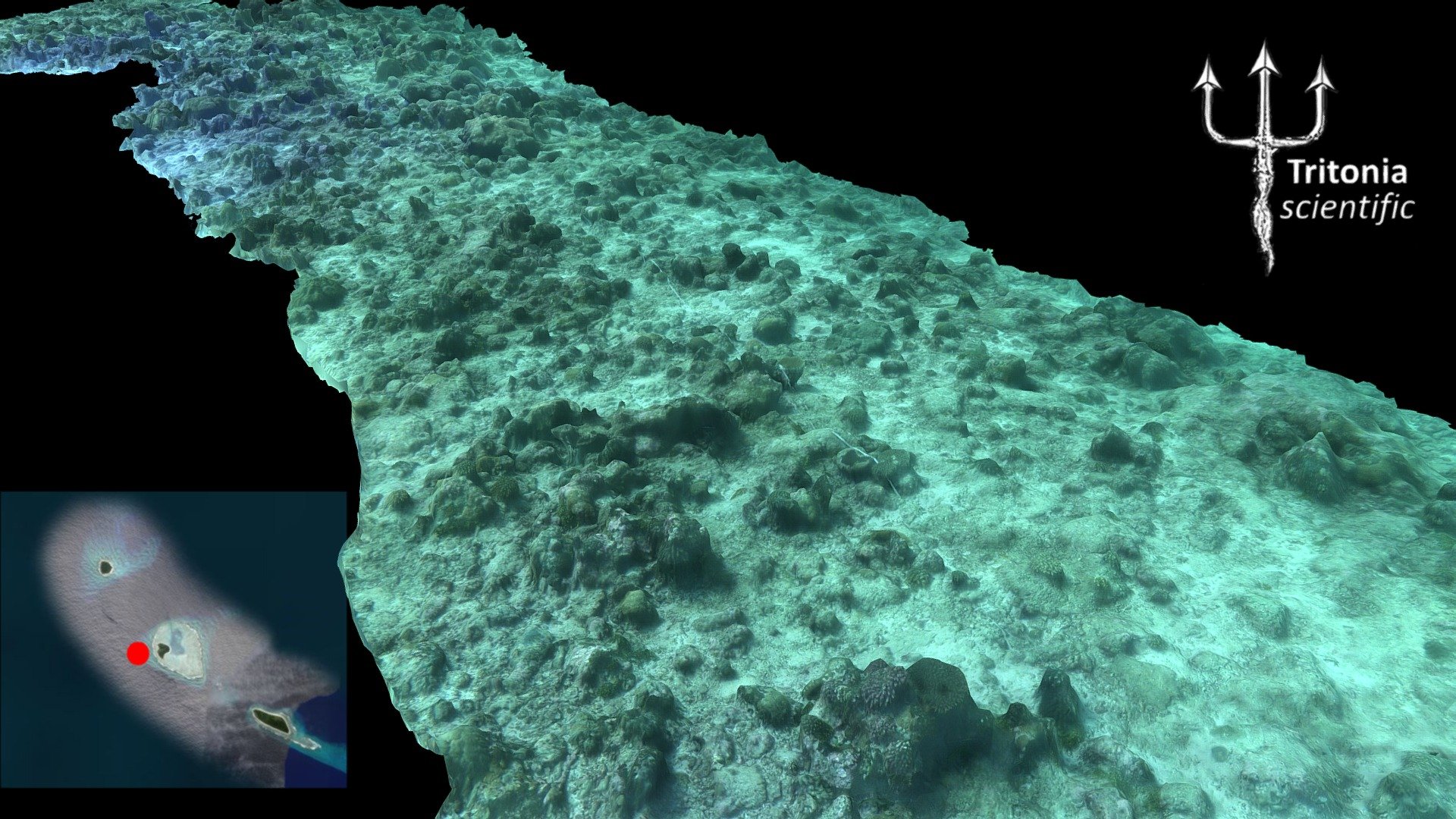 Middle Brother, Great Chagos Bank, 10m - 3D model by Tritonia ...