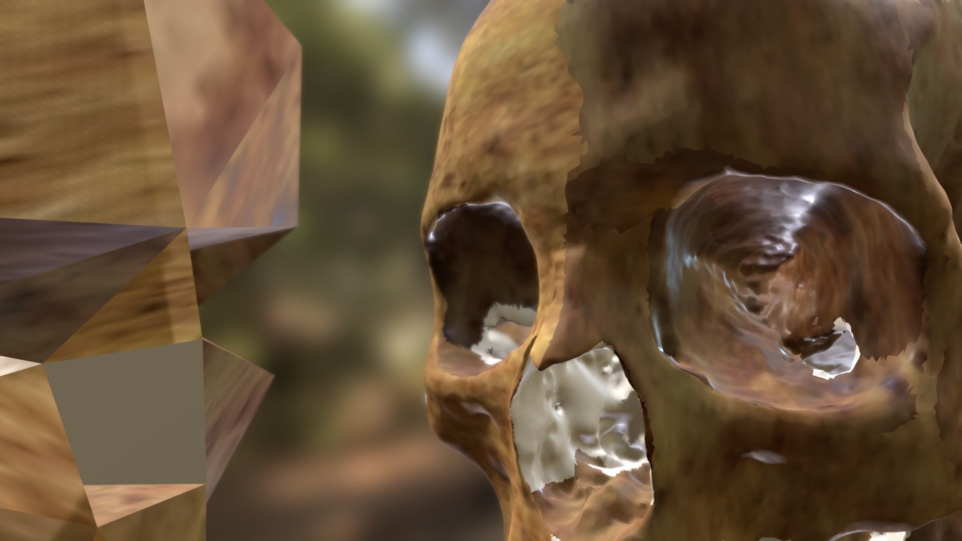 lubanja_5 - 3D model by Nikolina Ida (@nikolina_ida) [9f03f8f] - Sketchfab
