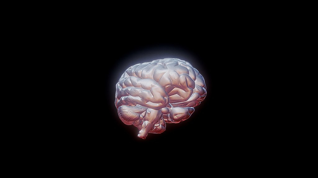 Sense organs - A 3D model collection by Anatomy Next (@a4s) - Sketchfab