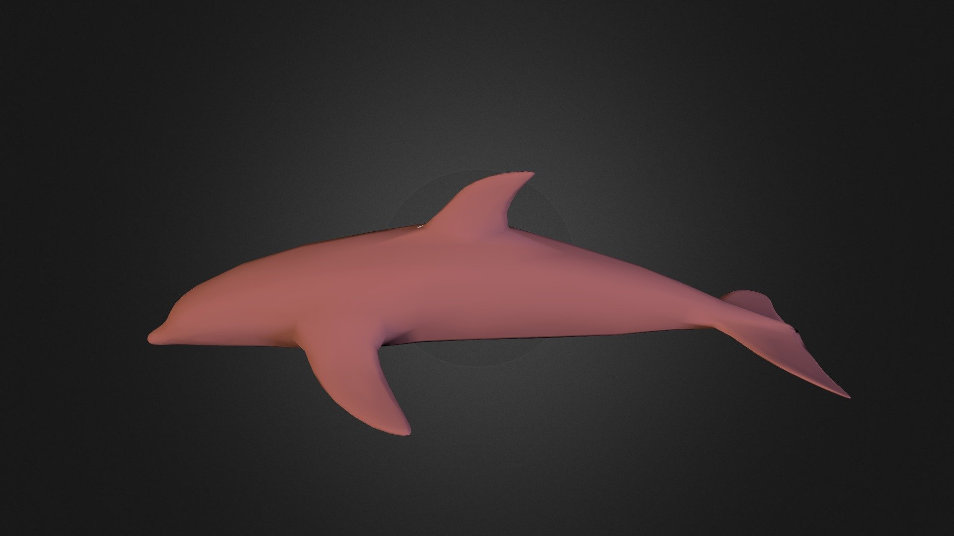 dolphin - 3D model by tgleason [9f0cd15] - Sketchfab