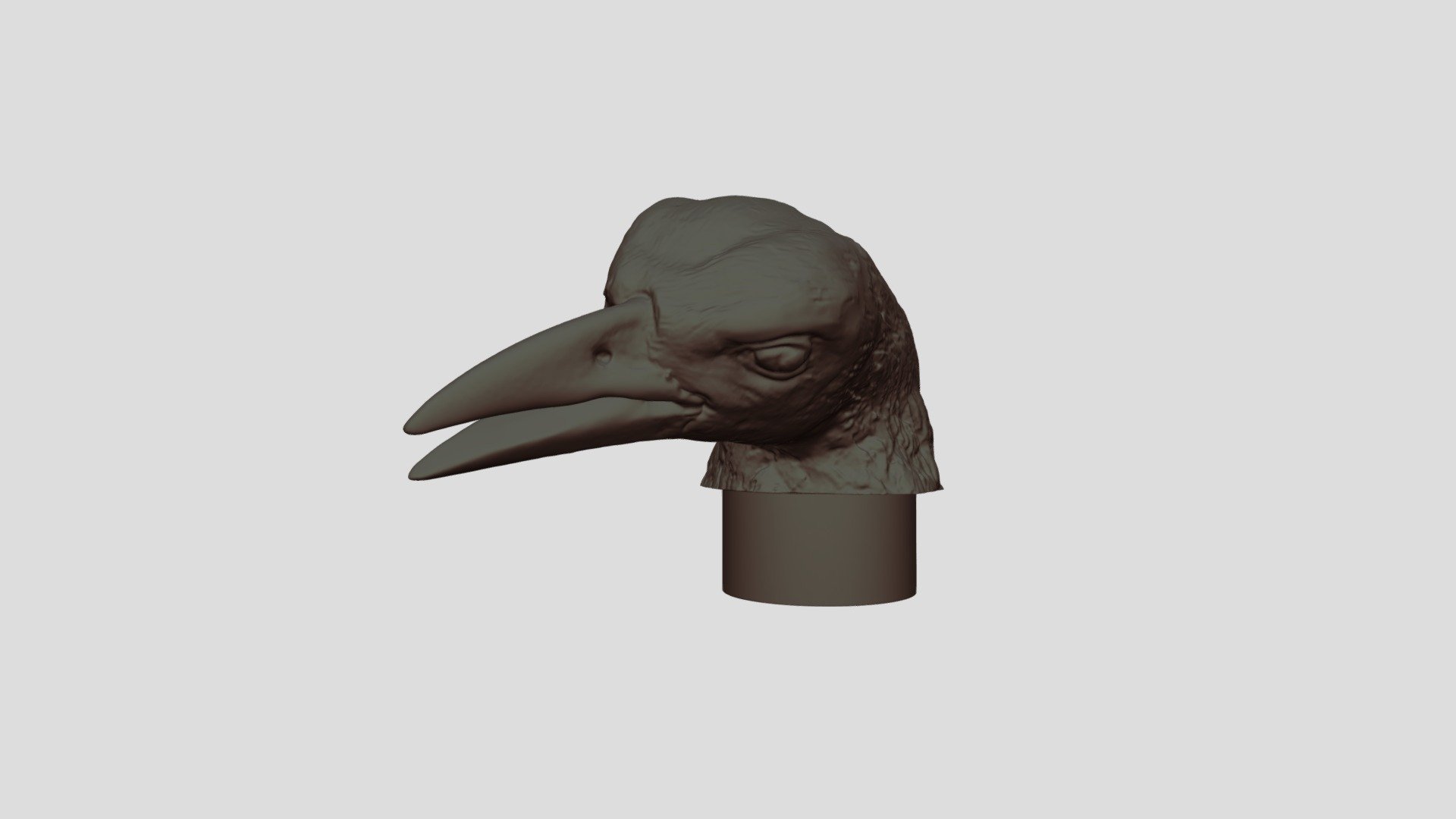 Bird head - 3D model by Capture It In 3D (@CaptureMeIn3D) [9f0ddba ...