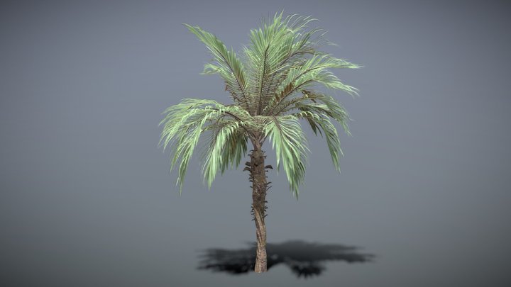 Tweek 3D models - Sketchfab