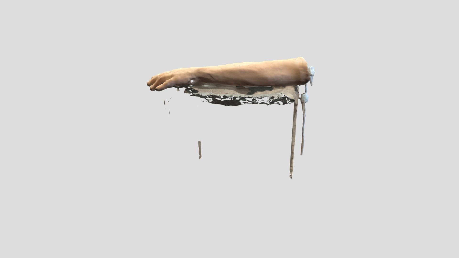 Arm upload test - Download Free 3D model by MOL (@-MOL) [9f22428 ...