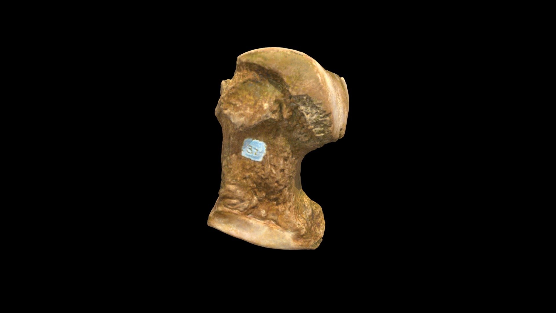 Mastodon Foot Bone (VCU_3D_3791) - 3D model by Virtual Curation Lab ...