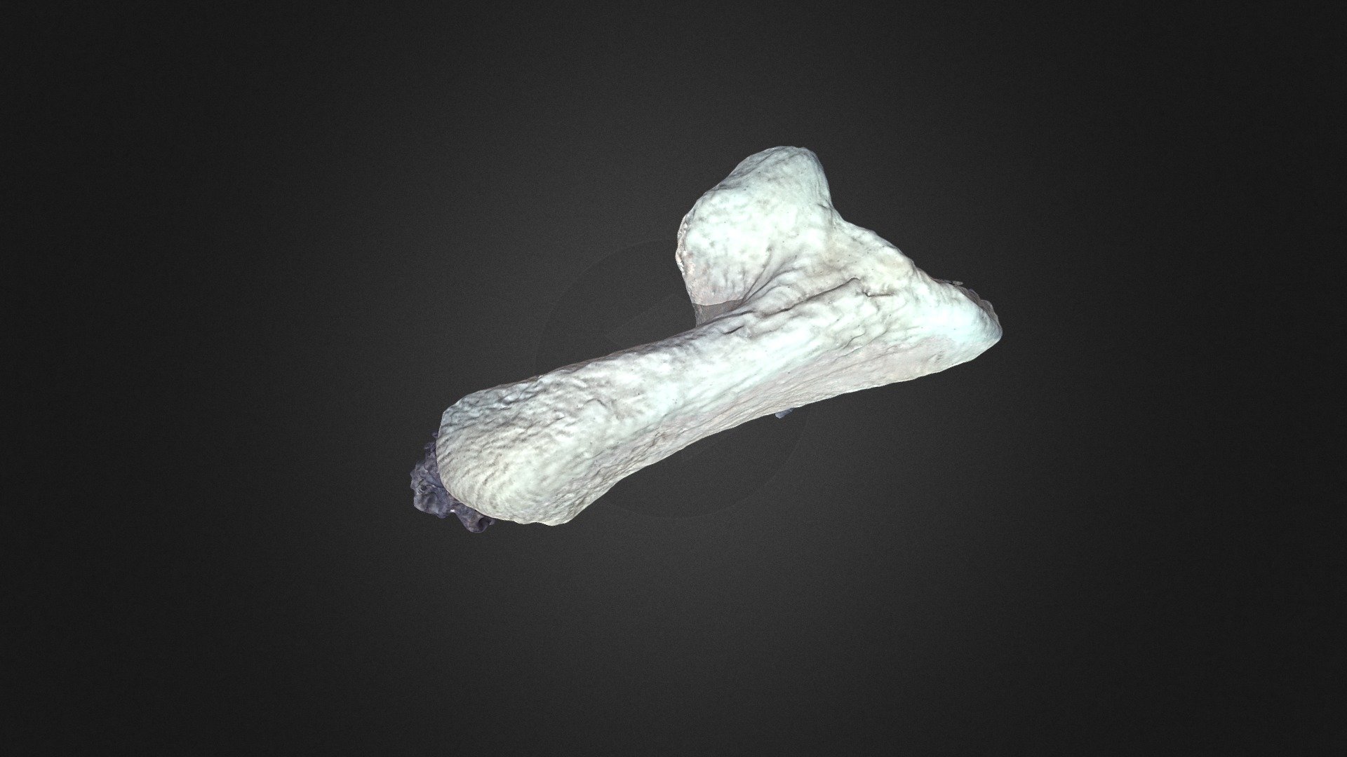 SA1 S9E1 FB - Download Free 3D model by Nrodriguezs [9f34072] - Sketchfab