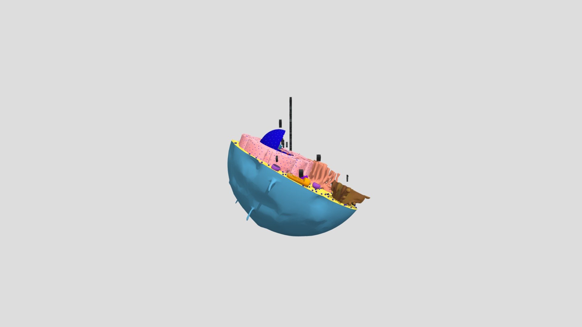Celula eucariota animala Rusu Marius - 3D model by marius7538885 ...