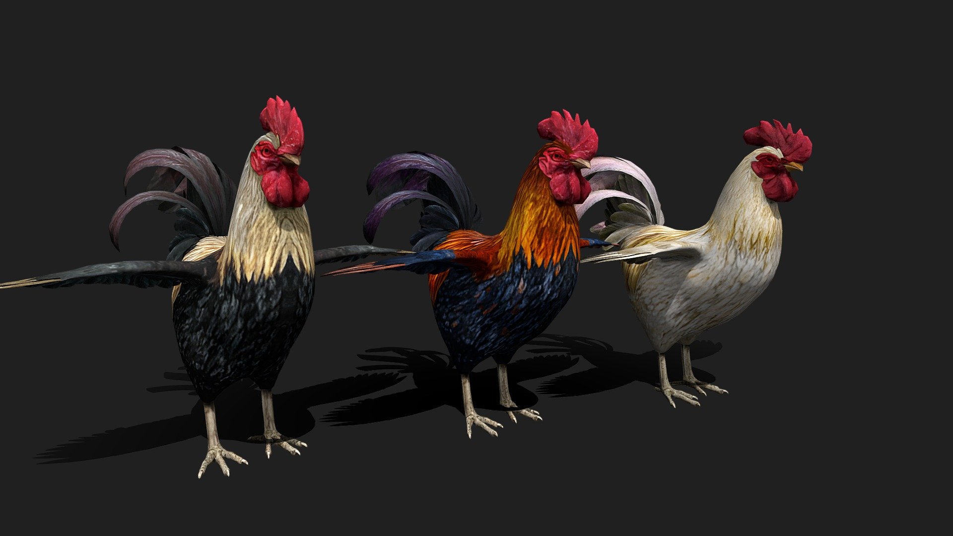 Realistic Rooster 3D Model - 3D model by WildMesh 3D (@WildMesh_3D ...