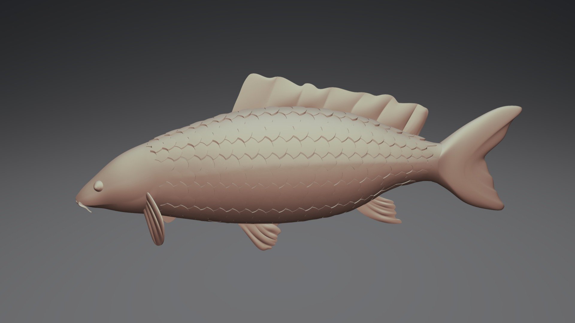 Carp Fish - 3D model by elenapierri [9f45399] - Sketchfab