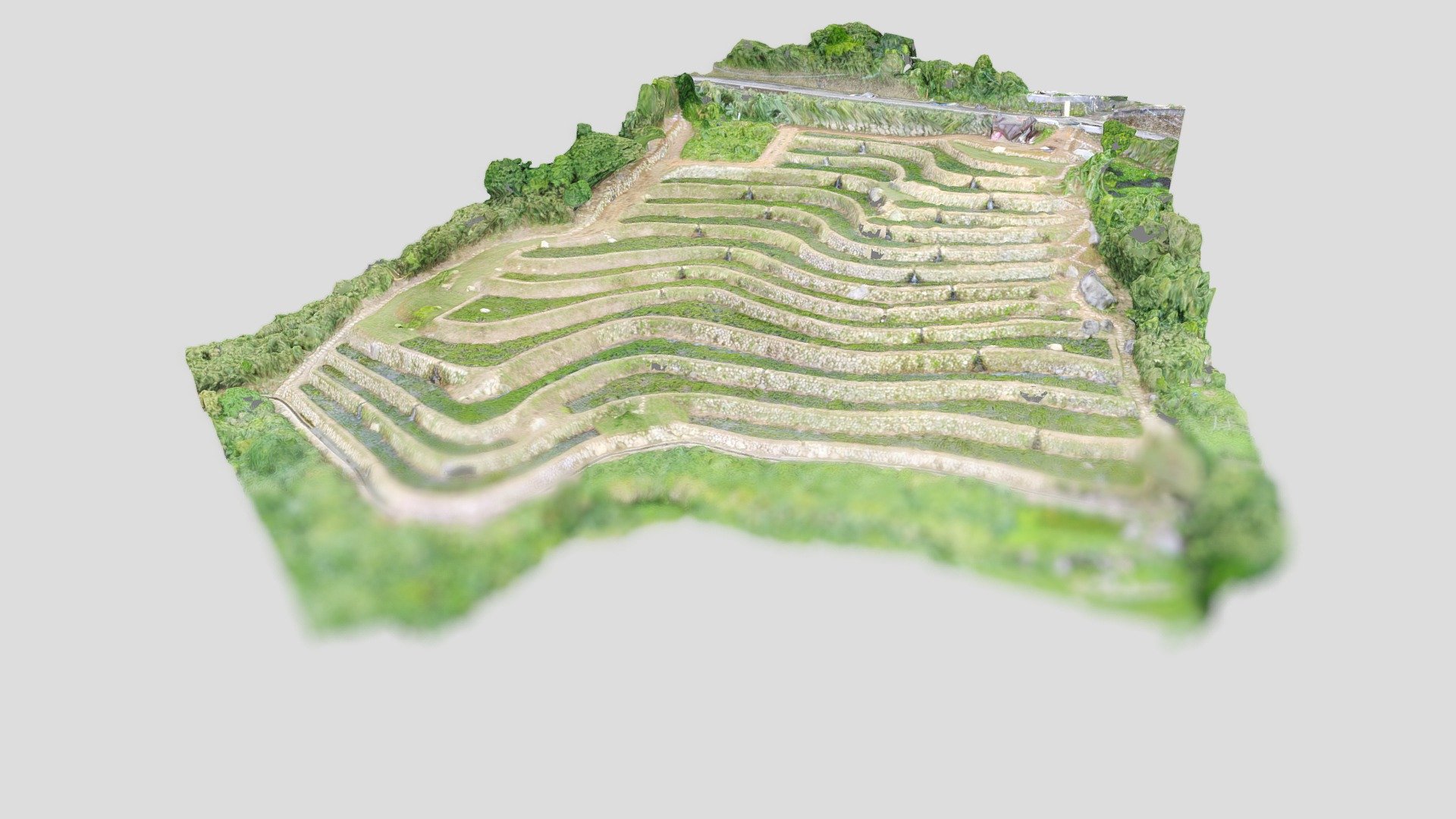 20221021臺北石門梯田Taipei Shimen Rice Terraces - Download Free 3D model by ...