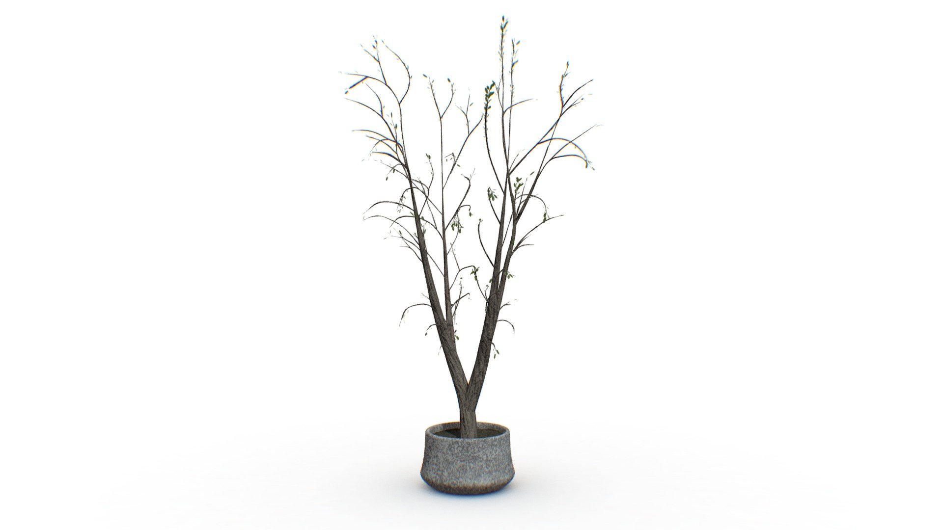 Decorative garden tree with concrete pot - Buy Royalty Free 3D model by ...