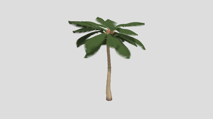 Coconut 3D models - Sketchfab