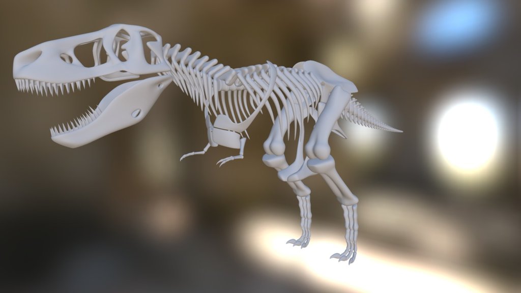 T-rex Low Polly - 3D model by vandreraia [9f50fcf] - Sketchfab