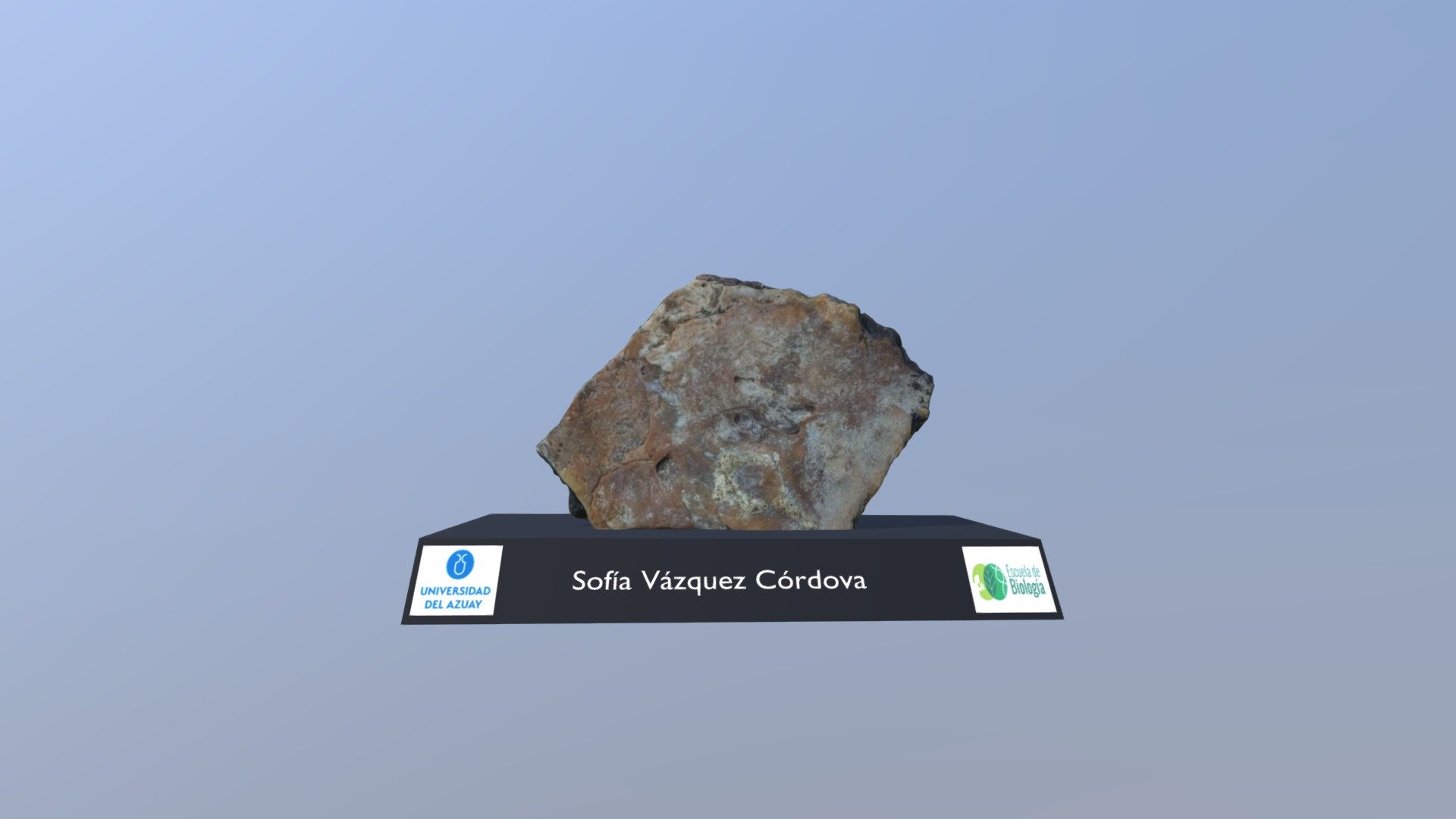 Osteodermo de Pampatherium - 3D model by PaleoPlateadoec (@paleoec ...