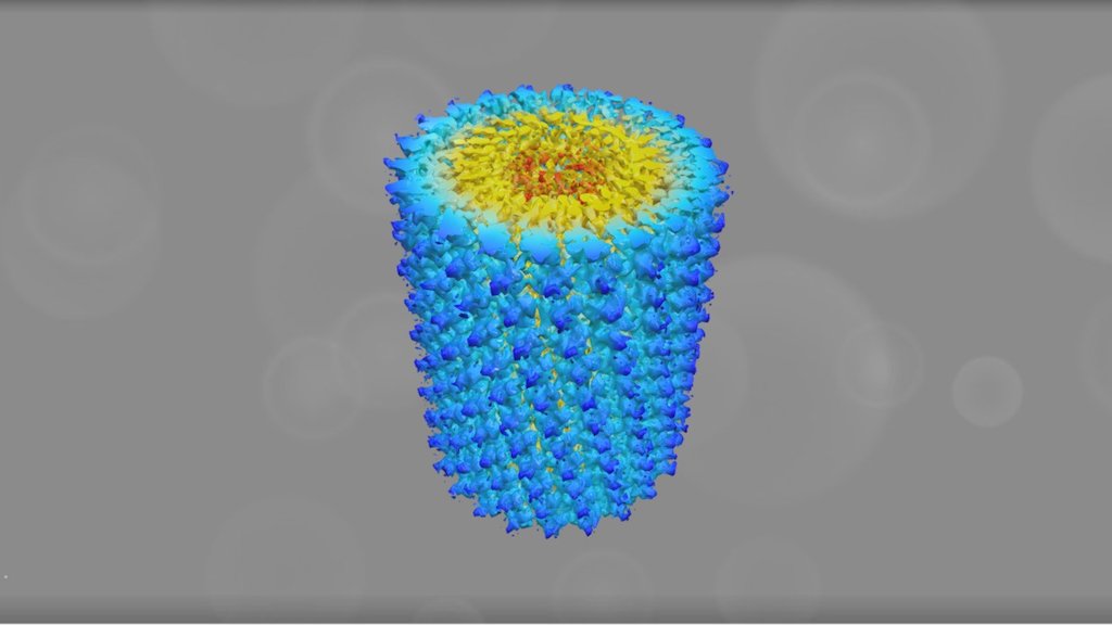 EMD 3077 - 3D model by Interactive 3D Data (@proteinsimulation ...