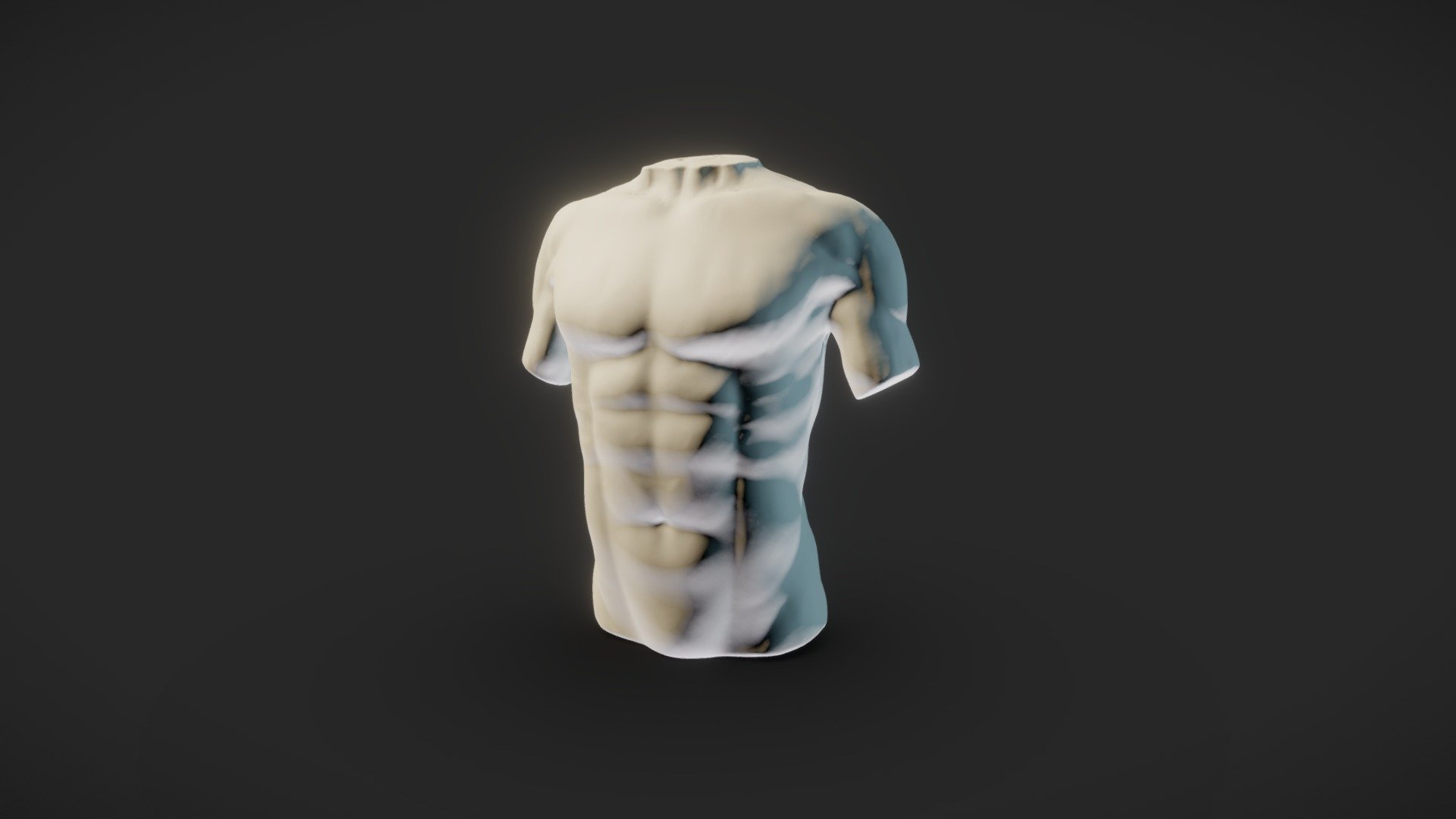 Torso I guess - 3D model by villemaas [9f55d4a] - Sketchfab