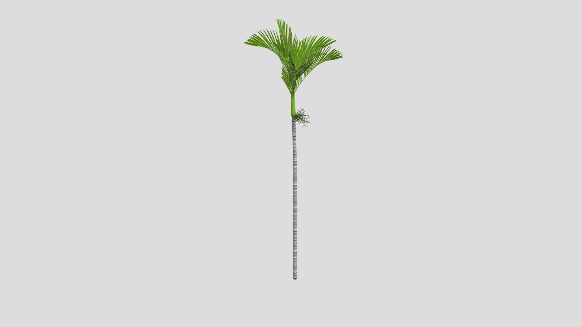 Palm - Download Free 3D model by Kiem Truong (@kiemtruong) [9f5a612 ...
