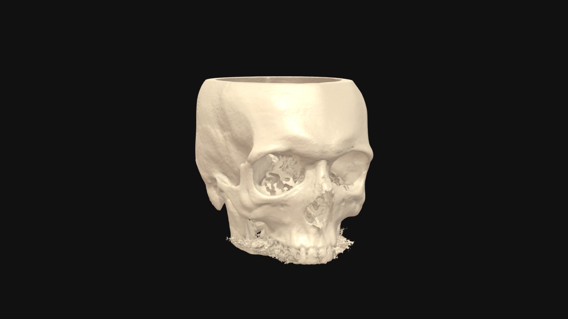 skull - 3D model by Norton (@nortonnn) [9f5c730] - Sketchfab