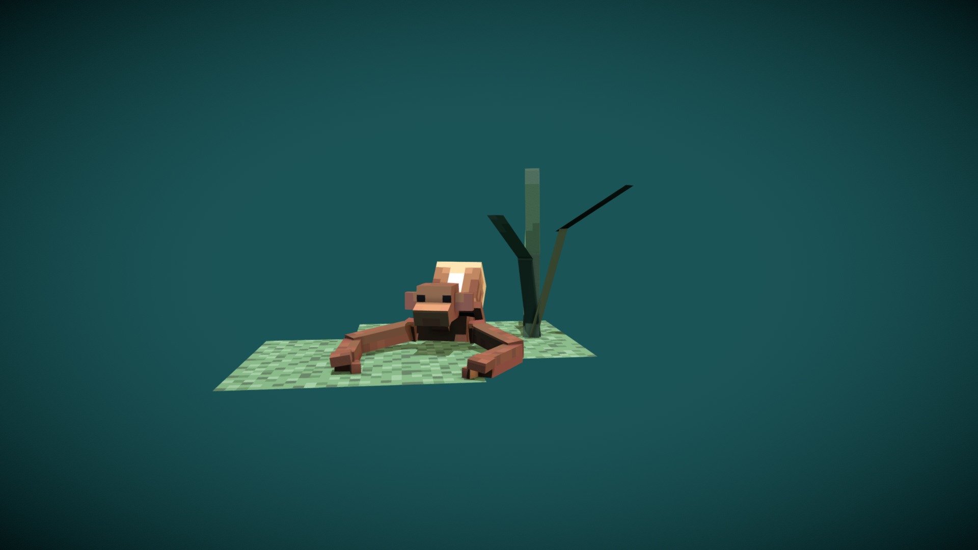 Monkey Snail - 3D model by qrlffln [9f63414] - Sketchfab