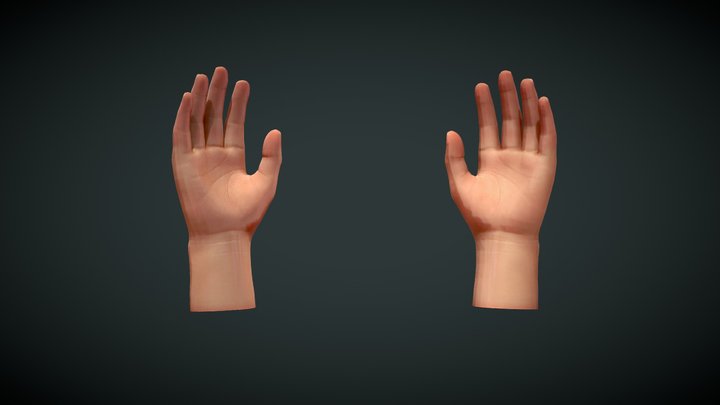 Realistic-hand 3D models - Sketchfab