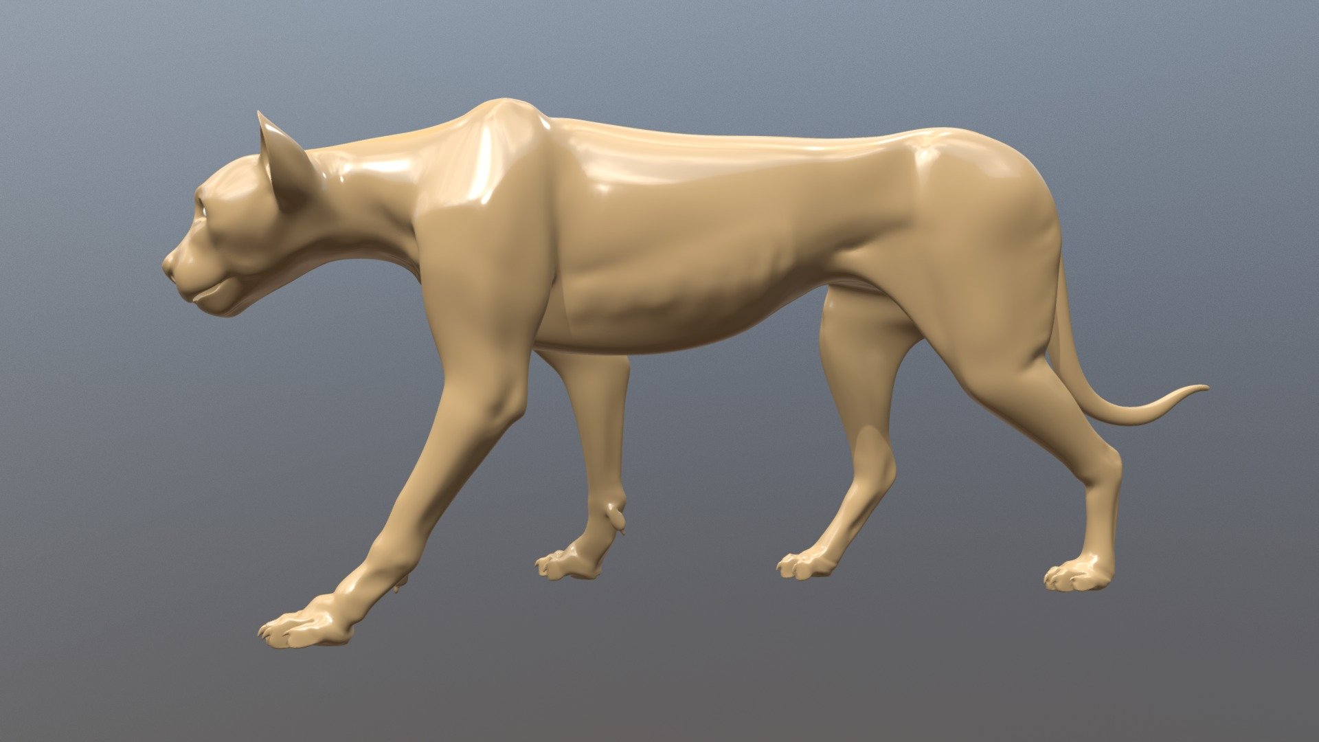 Cheetah - Download Free 3D model by Tomations [9f64d02] - Sketchfab