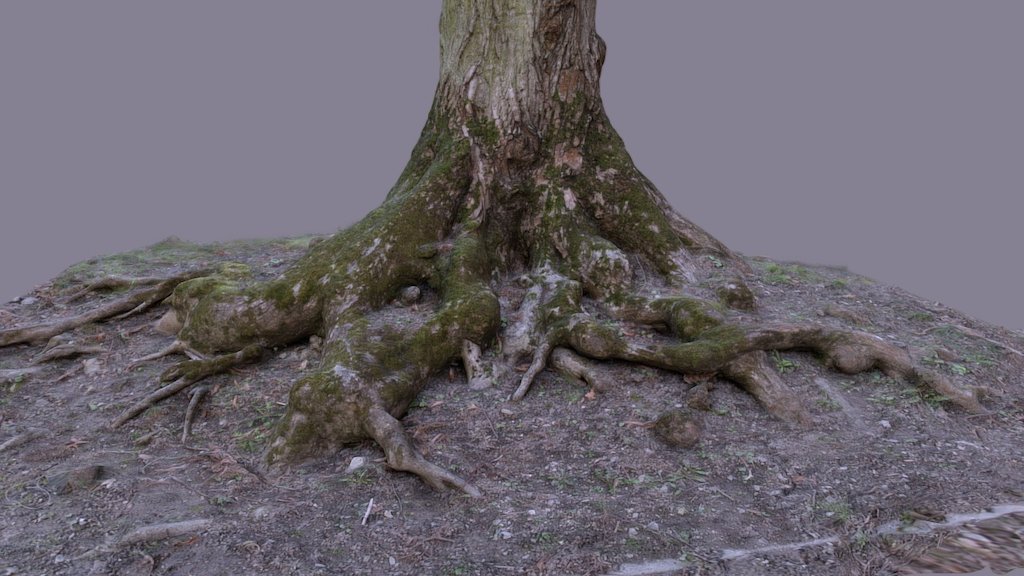 Arbre PhotoScan 3d - 3D model by cedric christler (@christler.cedric ...