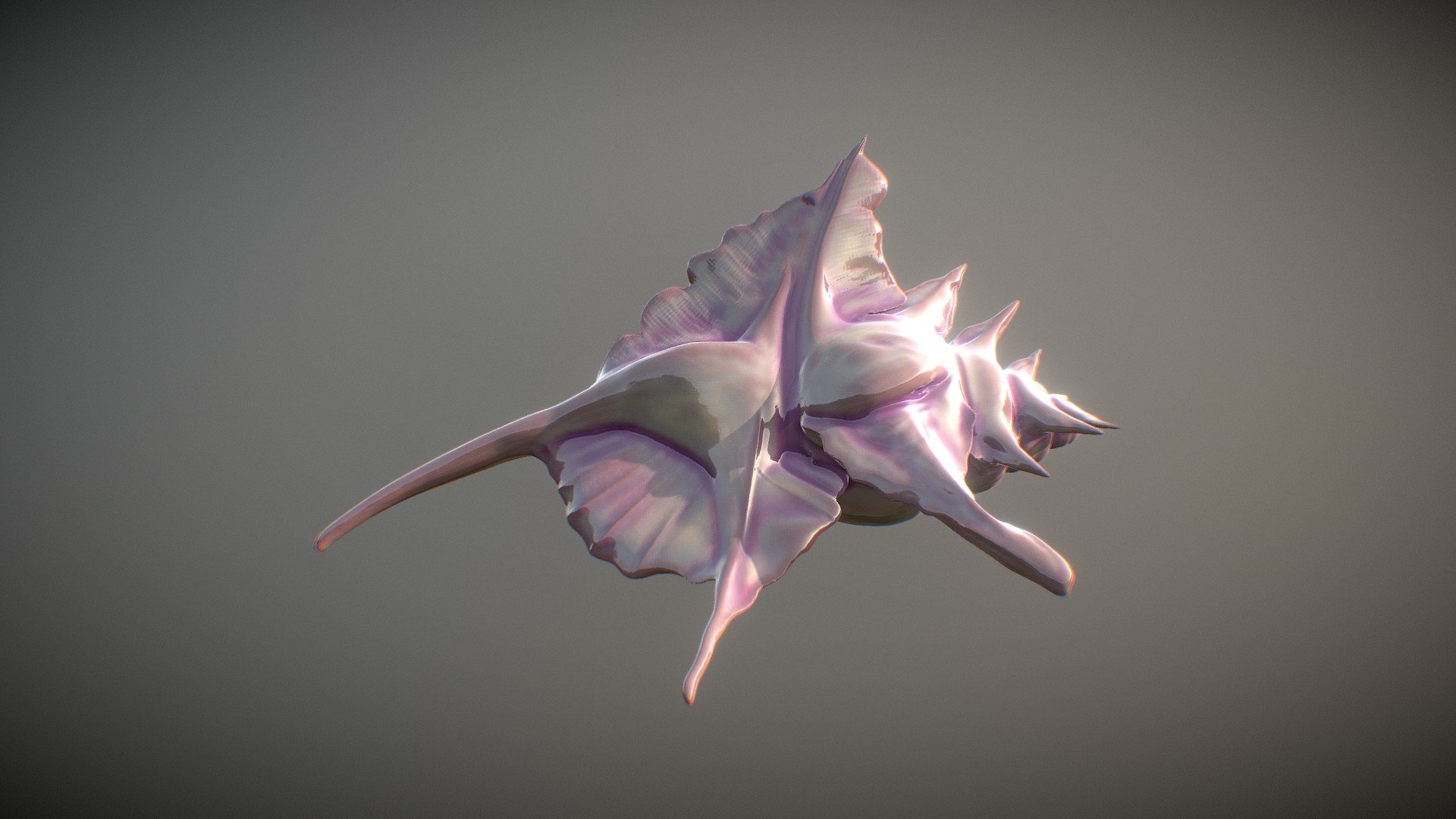 SculptJanuary day 25 : Shell - 3D model by Jules Camille Huvig ...