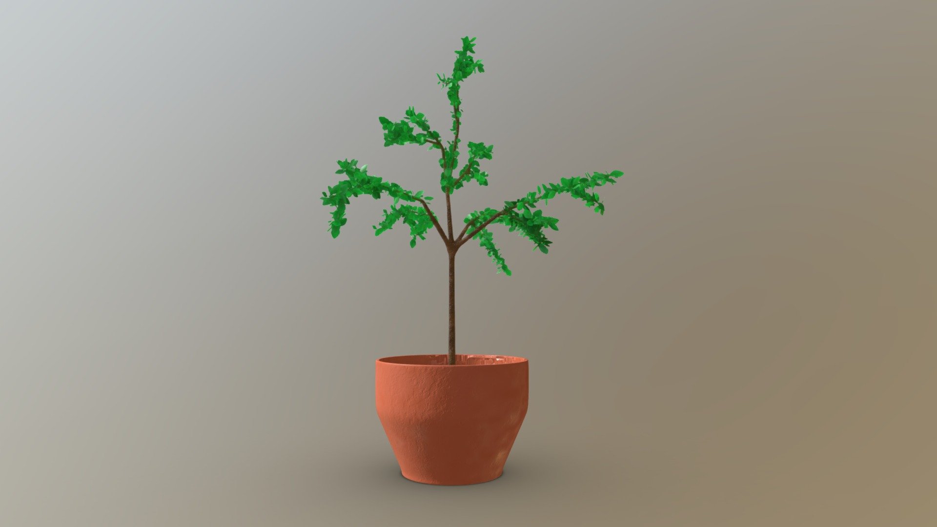 Potted Tree - Download Free 3D model by PoliGone [9f75dec] - Sketchfab