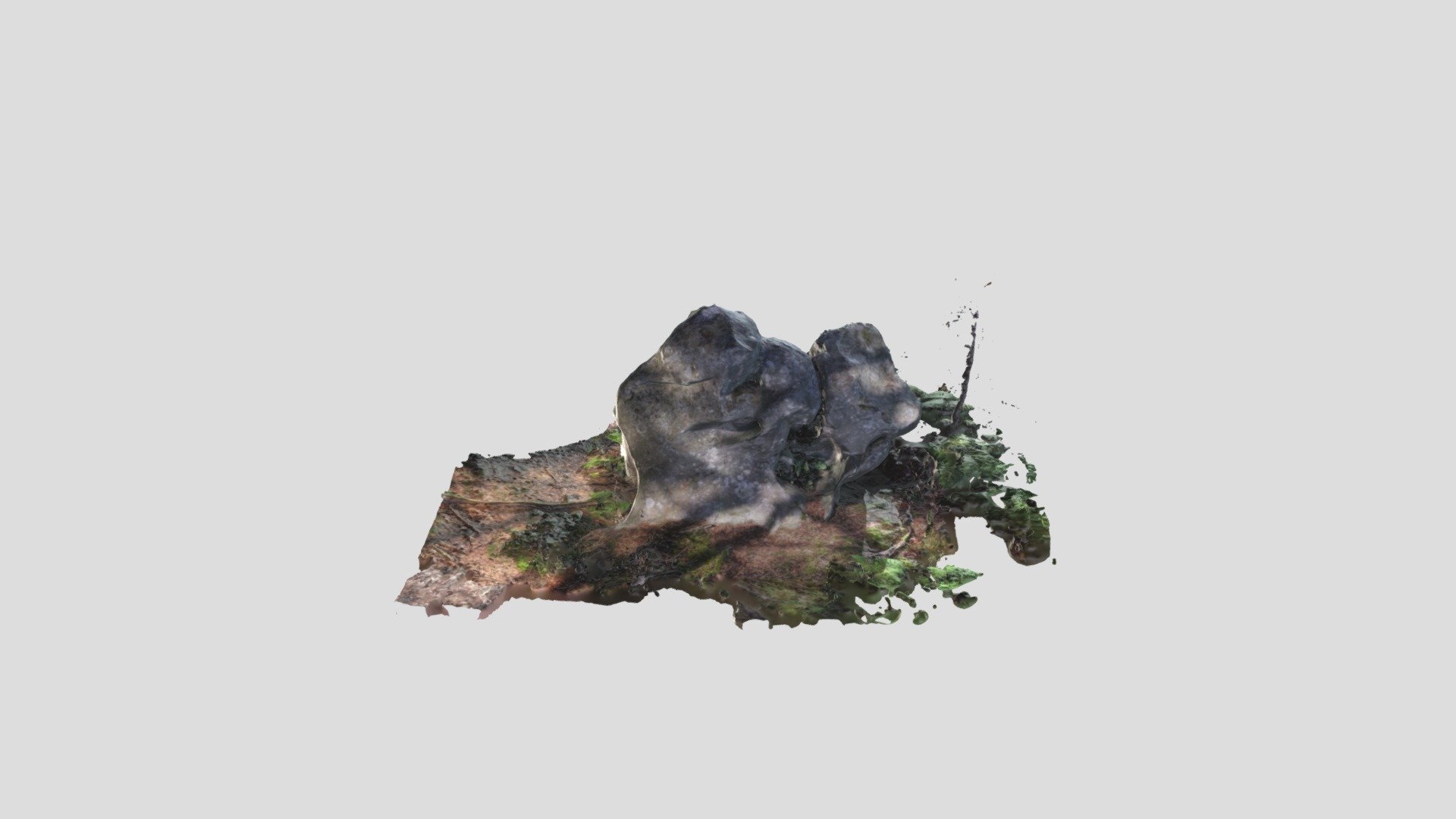 FOA1-33-NL-2021-48_390-2_562-2 - 3D model by Forest Object Archive ...