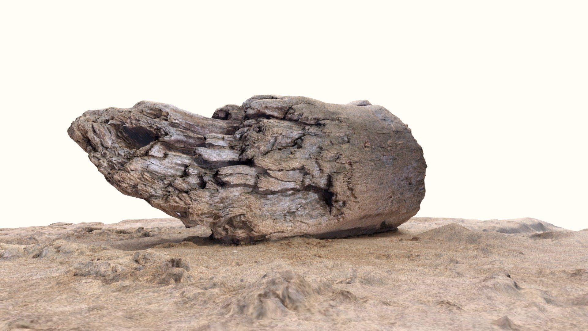 Beach Log - 3D model by MarthB [9f78de9] - Sketchfab