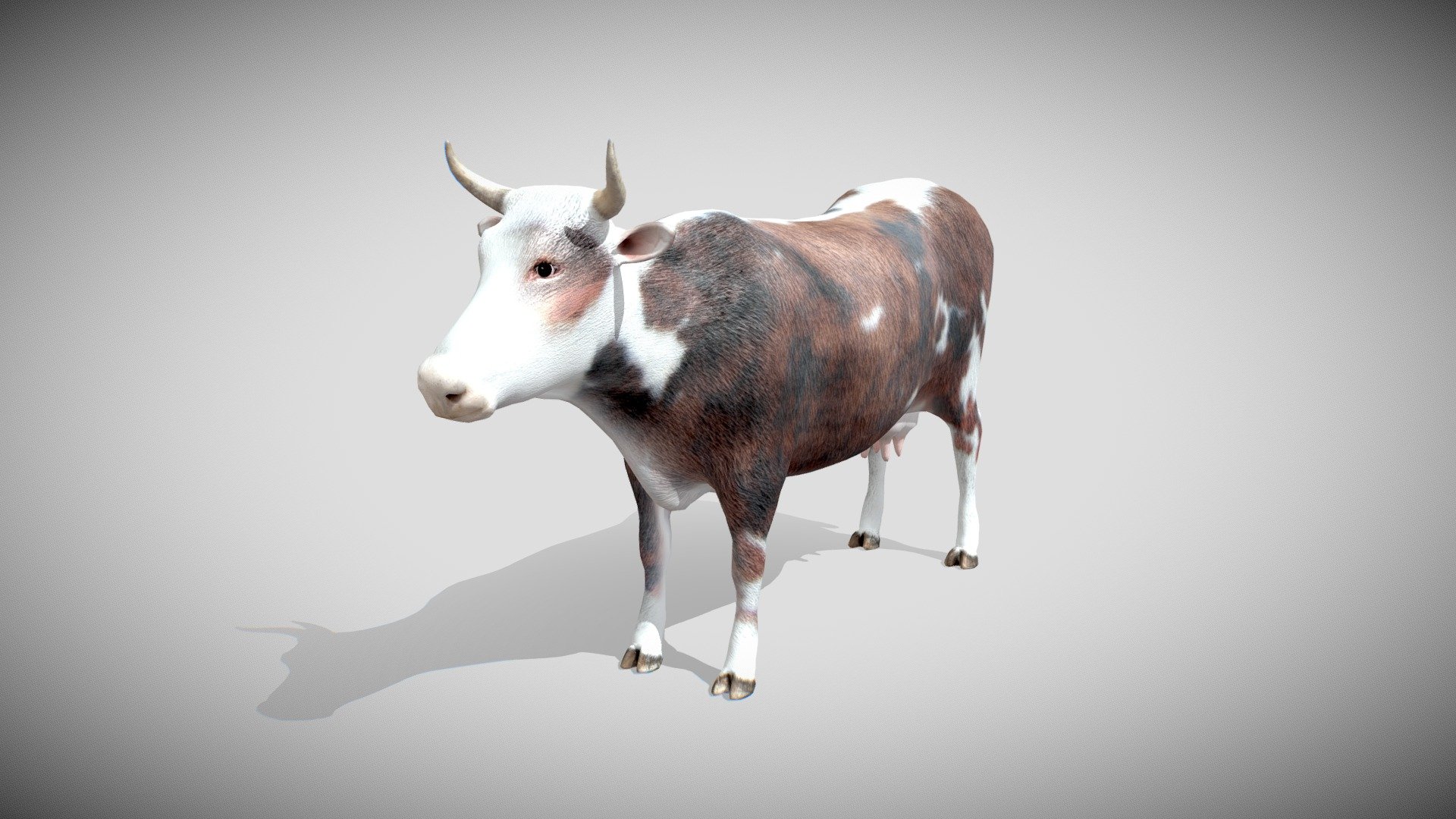 Cow - 3D model by djkorg [9f9381a] - Sketchfab