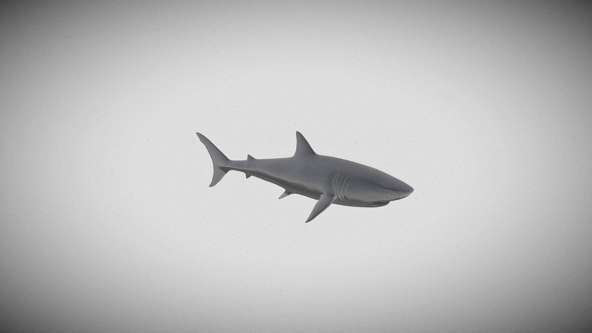 Shark - 3D model by teoex [9f9d35e] - Sketchfab