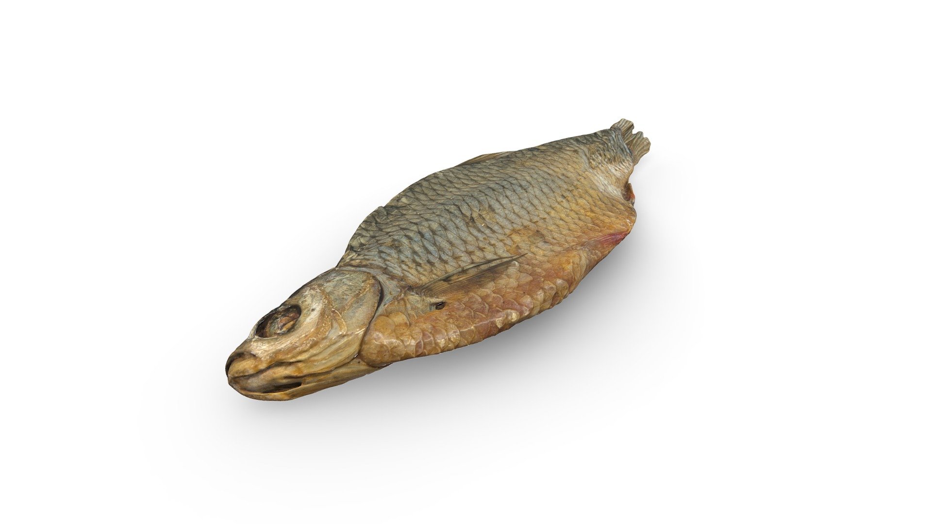 Dried Fish - 3D model by RawCatalog.com (@rawcatalog) [9fa1415] - Sketchfab