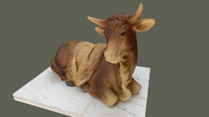 Ox 3D models - Sketchfab