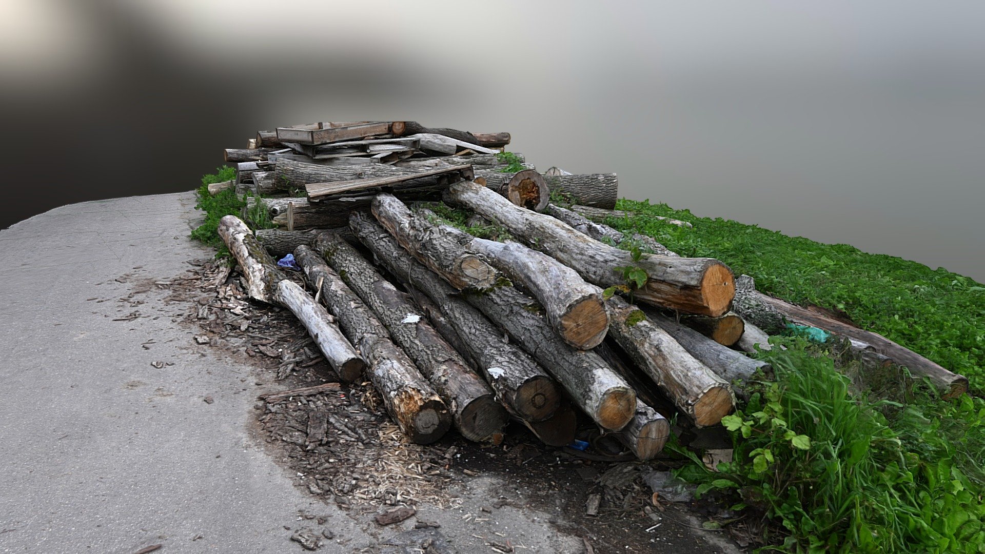 Another pile of sawn logs - 3D model by Neo_minigan (@neominigan ...