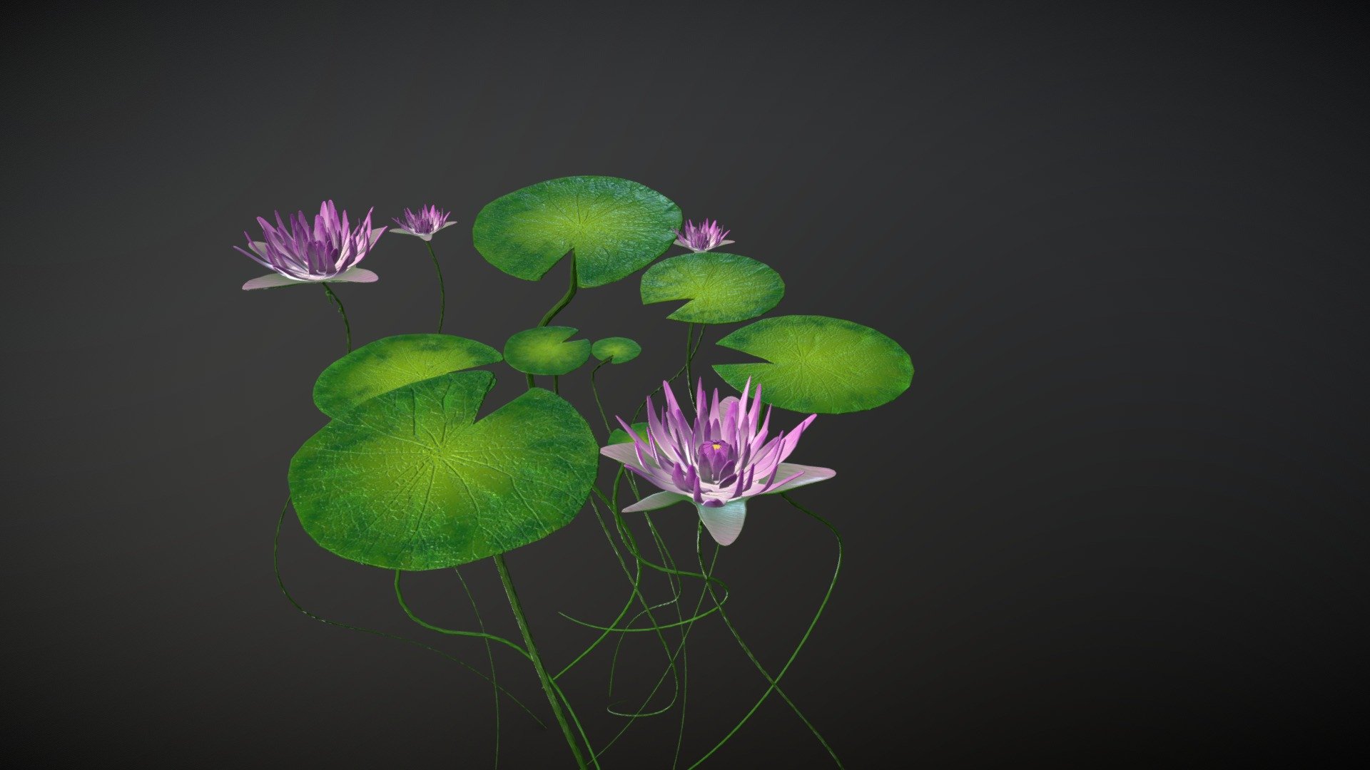 Water lily - Buy Royalty Free 3D model by Ebin Johnson (@EbinJohnson) [9fb38f2] - Sketchfab Store