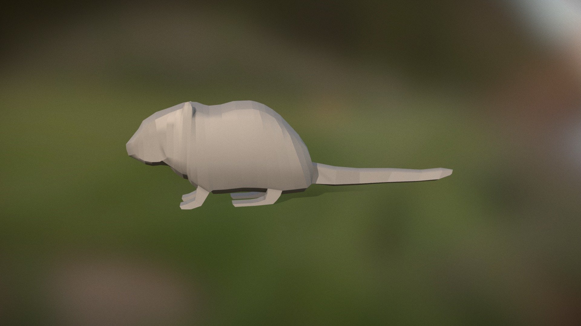 Gerbil - Download Free 3D model by Caique Ponjjar (@caiqueponjjar ...