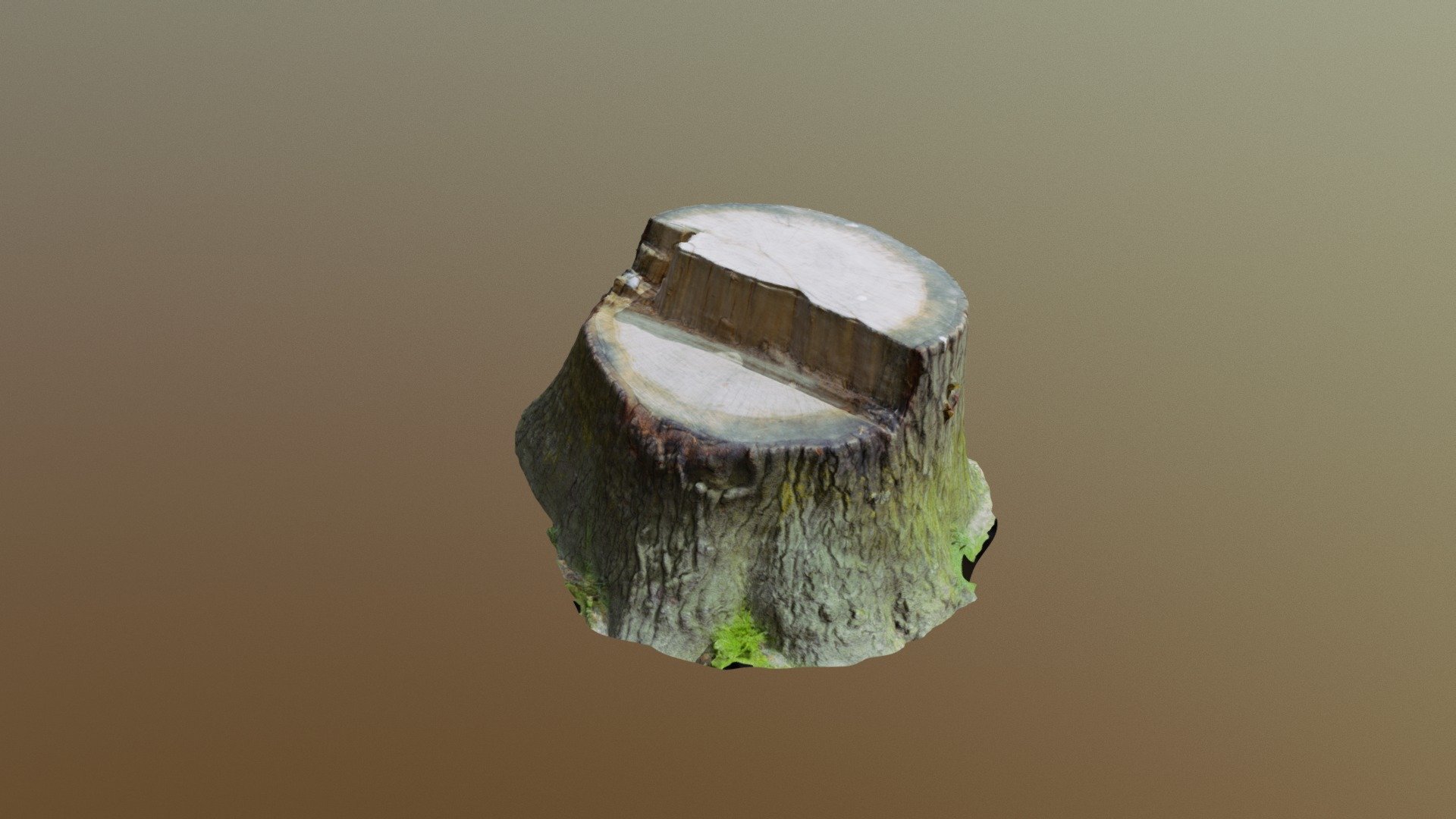 CC0Textures - Tree Stump #01 (SQ/4K Preview) - 3D model by ...
