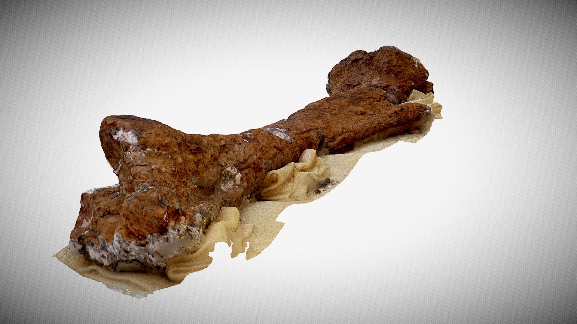 AUC dinosaur collection (draft model) - 3D model by Nabil Mohareb ...