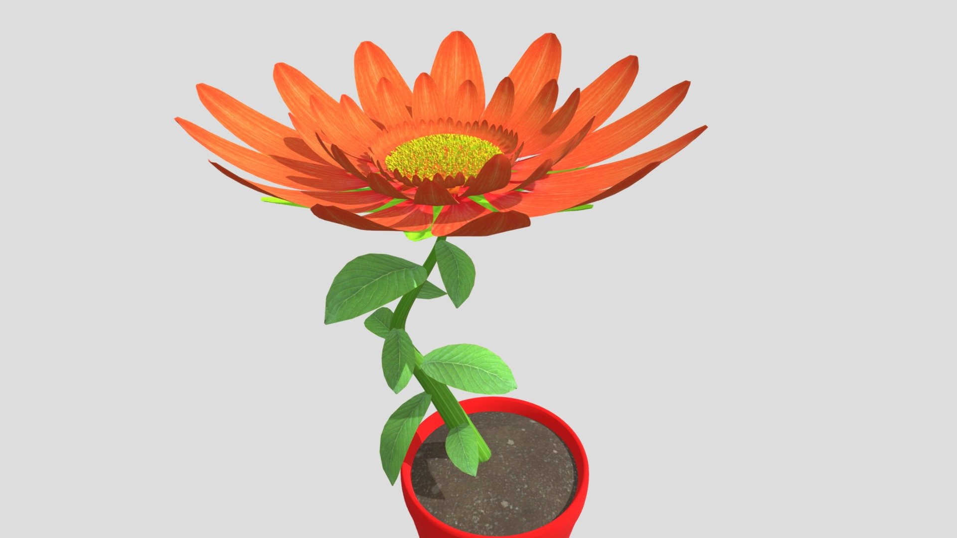 Orange Flower Animated - Buy Royalty Free 3D model by POLYMODI [9fc32ea ...