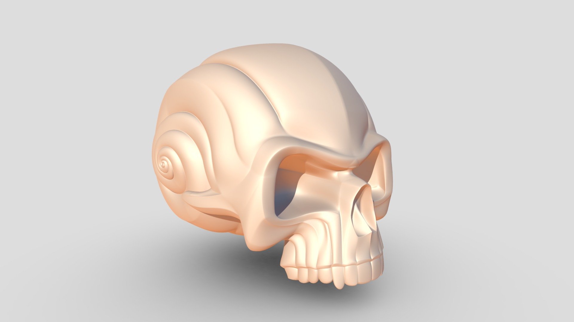 Skull spiral - 3D model by MaRaT [9fc390e] - Sketchfab