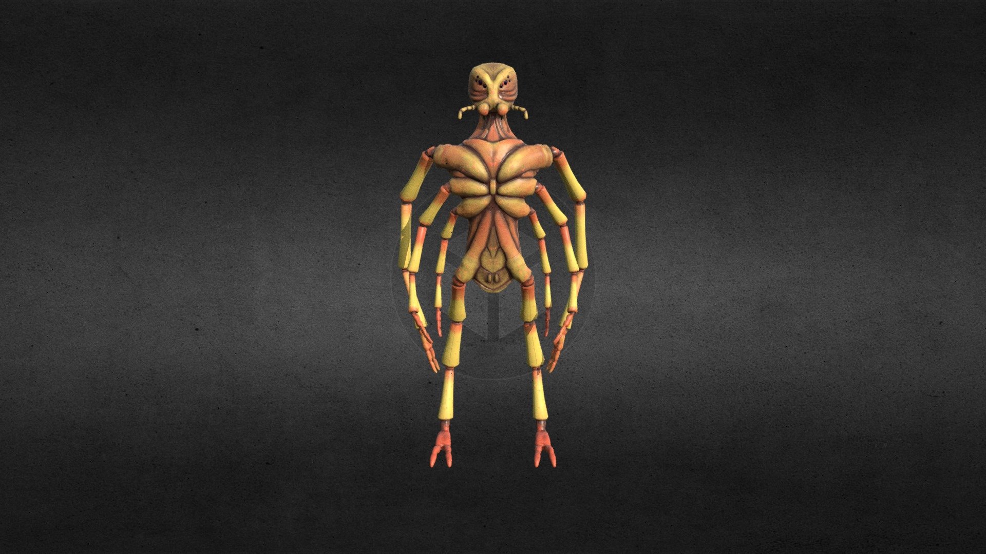 Housemate Spider - Download Free 3D model by Lagst [9fc600e] - Sketchfab