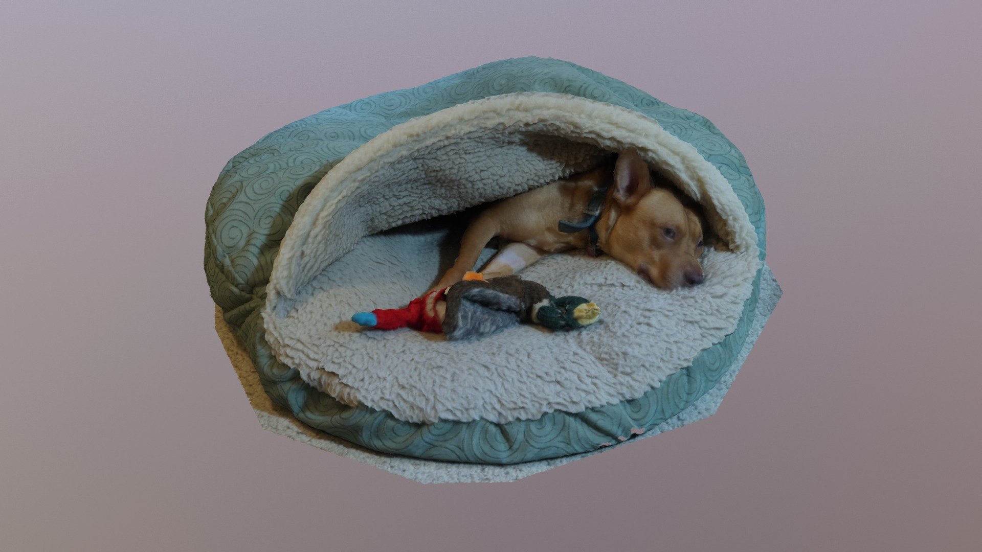 Barnaby - 3D model by Paradoxil (@synchent) [9fc7c04] - Sketchfab