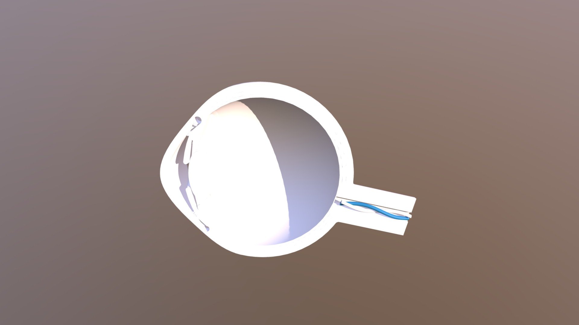 Glaucoma Model - 3D model by Michaeltriggs [9fc8edc] - Sketchfab
