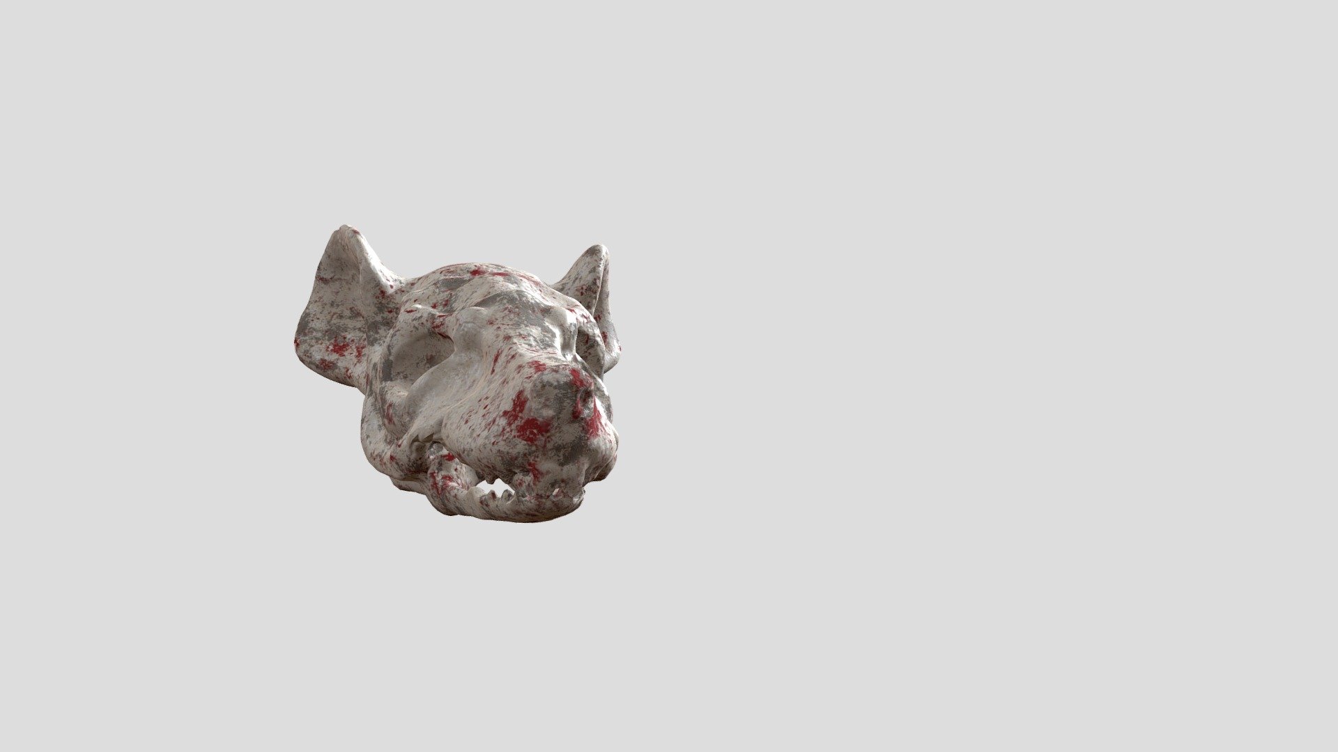 rat_skull - 3D model by Marceli.Zegarowicz [9fc90e8] - Sketchfab