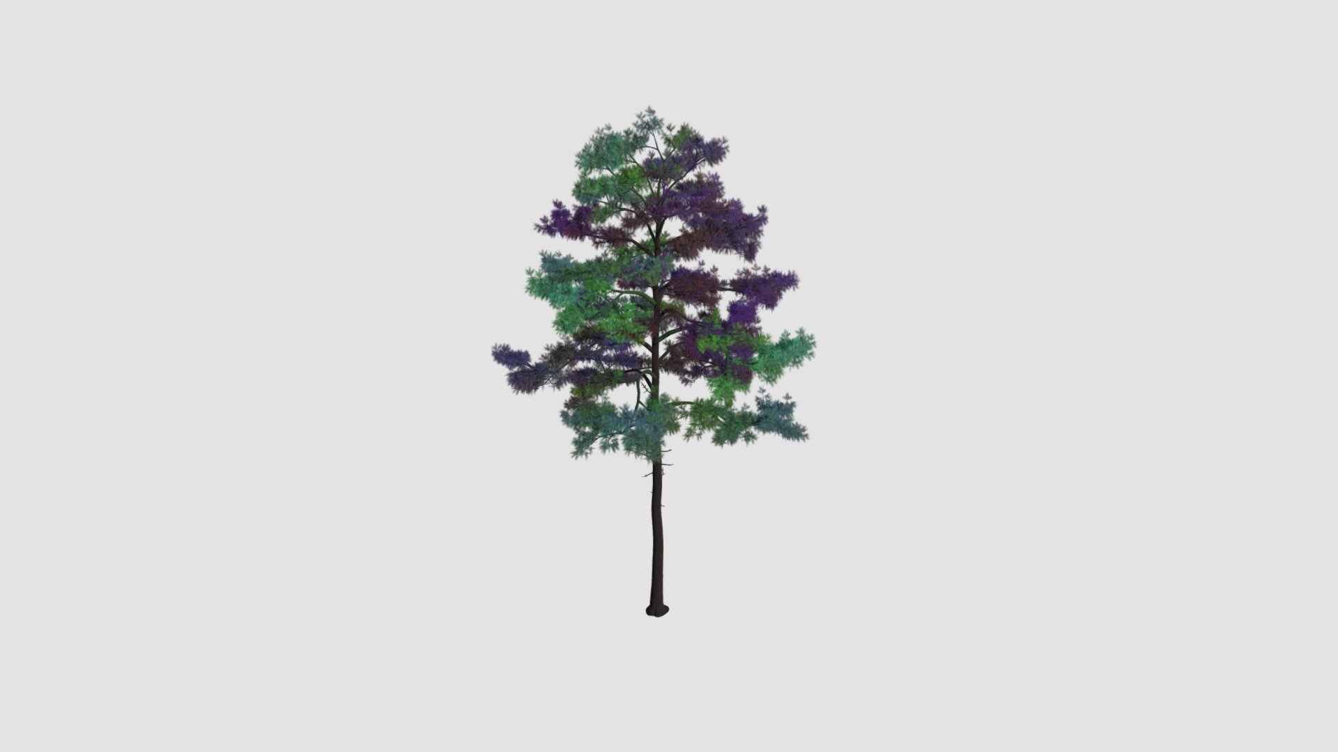 Tree - Buy Royalty Free 3D model by Evermotion [9fc923d] - Sketchfab Store
