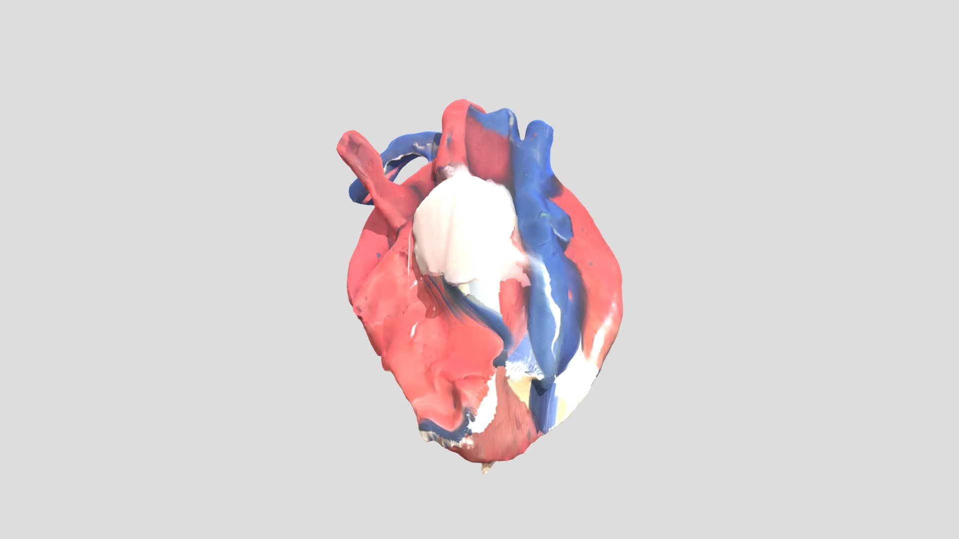 Heart - 3D model by ejg231 [9fd24dc] - Sketchfab