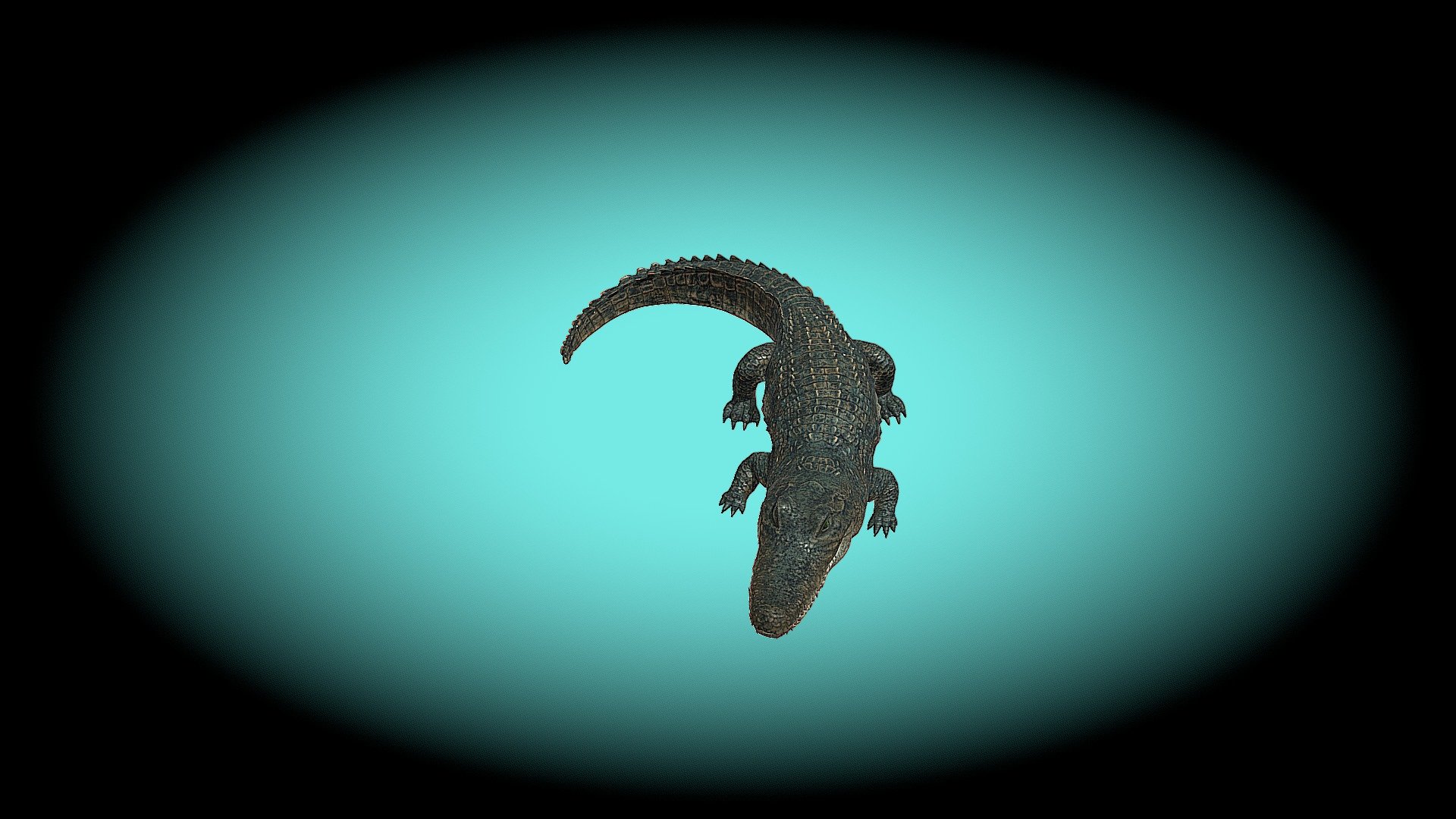 coccodrillo peter pan - 3D model by carlyemorris12 [9fd7243] - Sketchfab